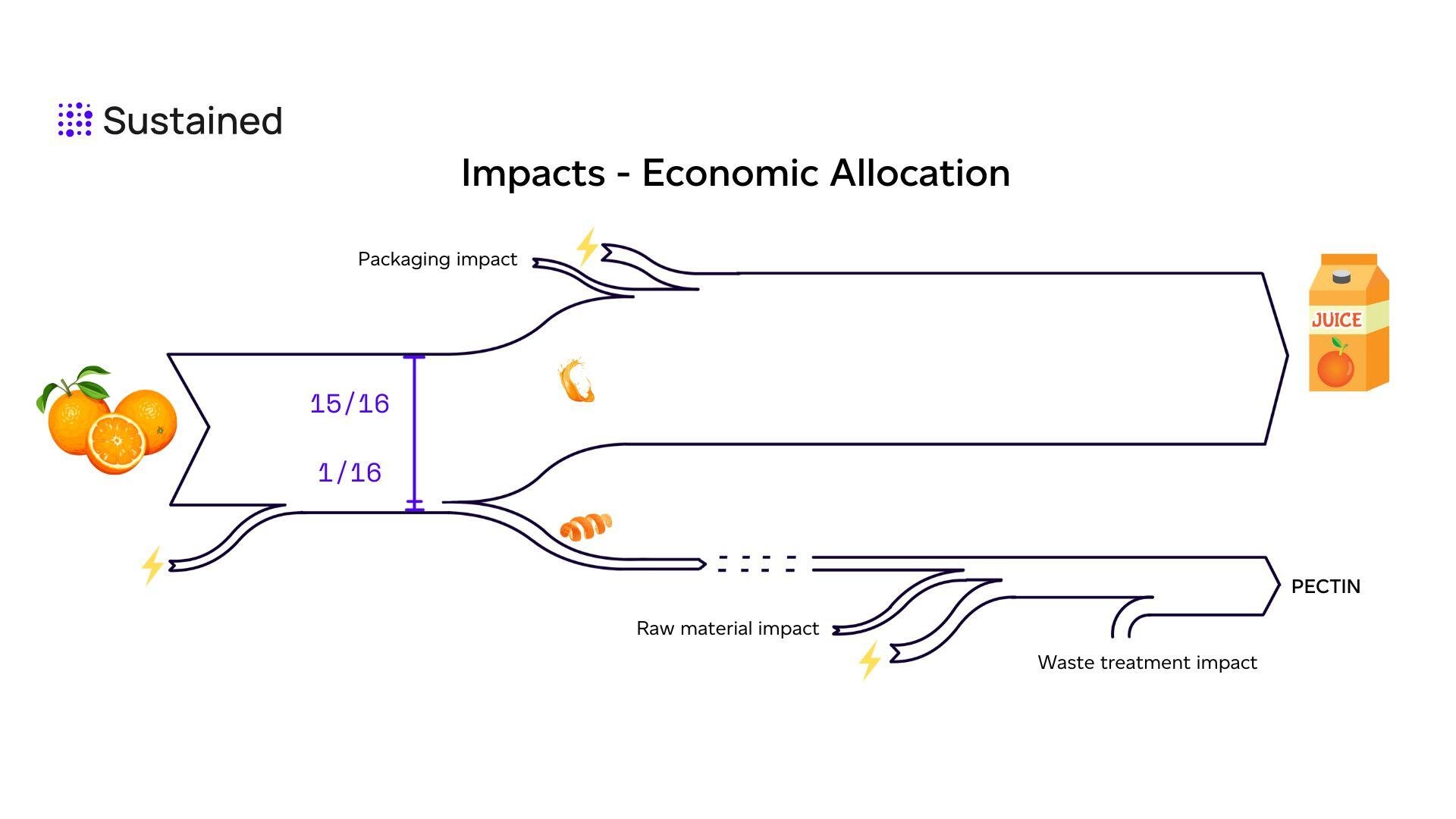 Allocating Environmental Impact in LCA: Physical vs. Economic Approaches