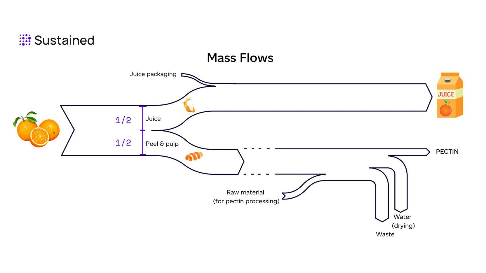 Allocating Environmental Impact in LCA: Physical vs Economic Methods