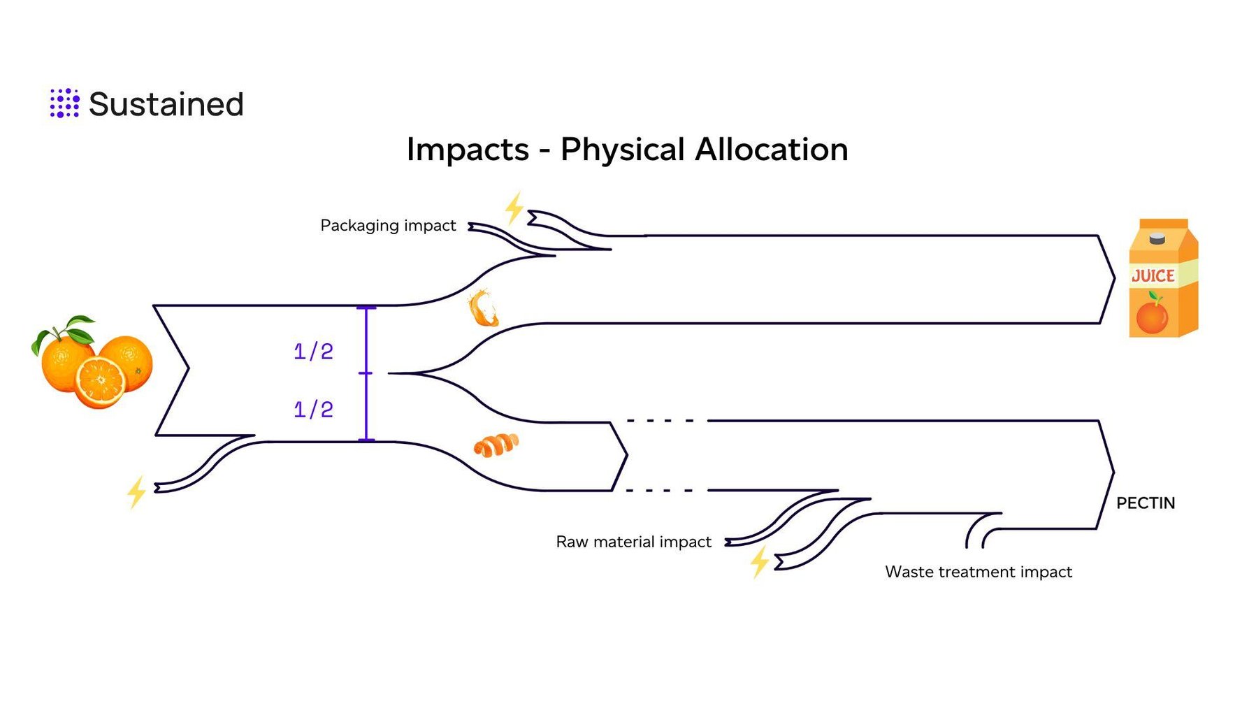Allocating Environmental Impact in LCA: Physical vs. Economic Approaches