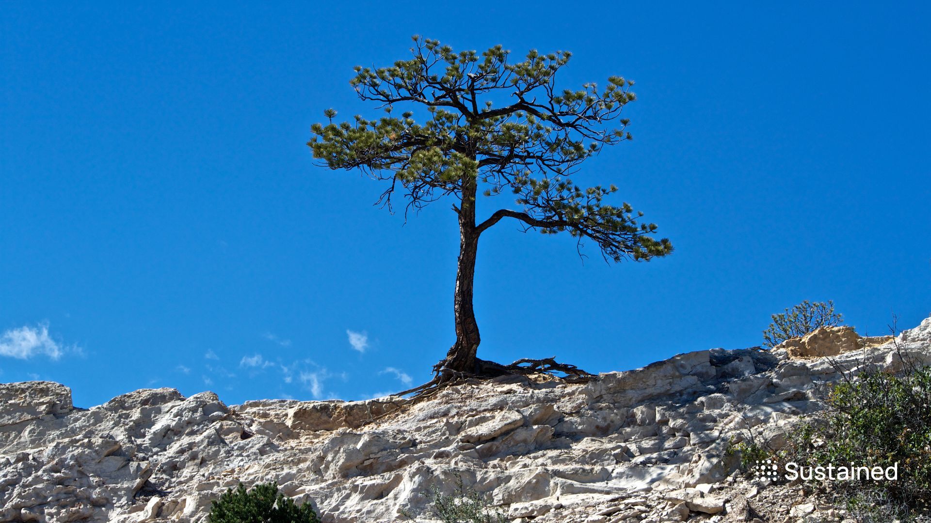 Turning Impact Data Into Risk Insight And Resilience